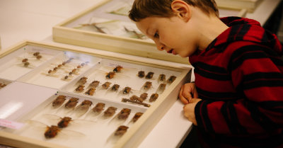 Discover | SA Museum