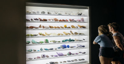 Plan your visit | SA Museum