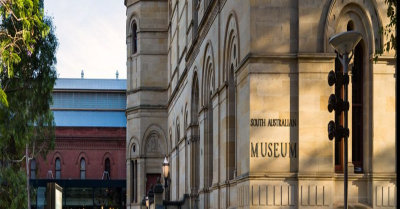 Strategy and reporting | SA Museum