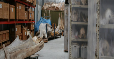 Bolivar Facility Sa Museum