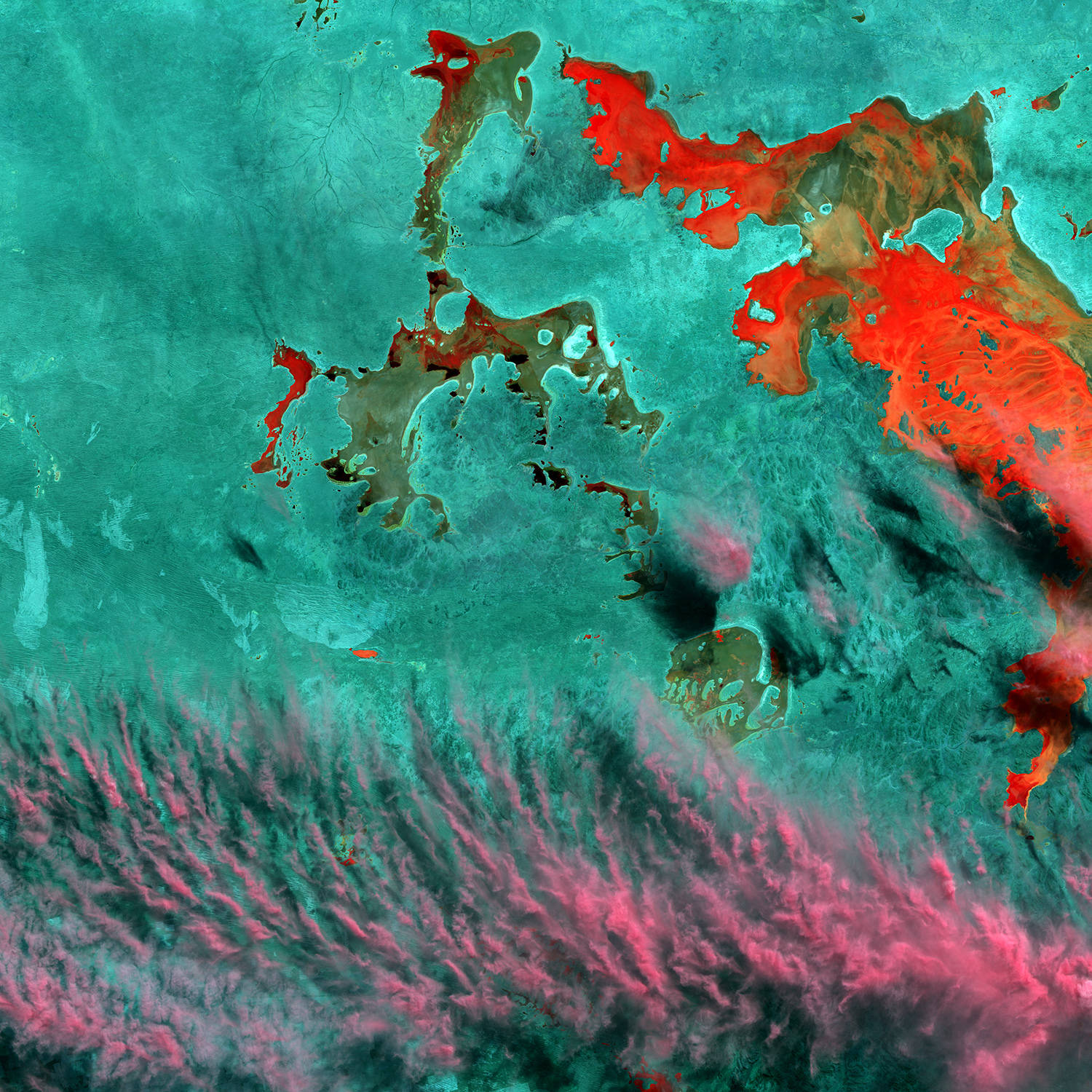 Exhibition | SA Museum